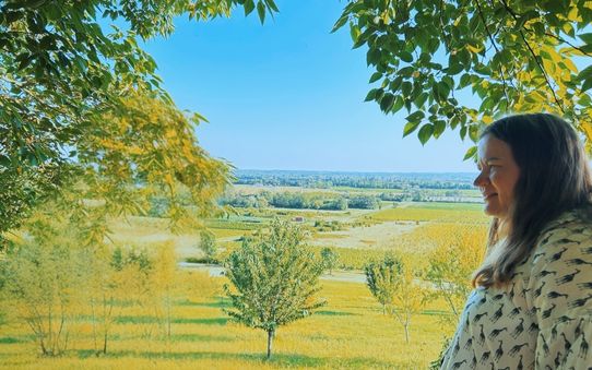 Specialized Gestalt Workshop - Field Theory for Psychotherapists